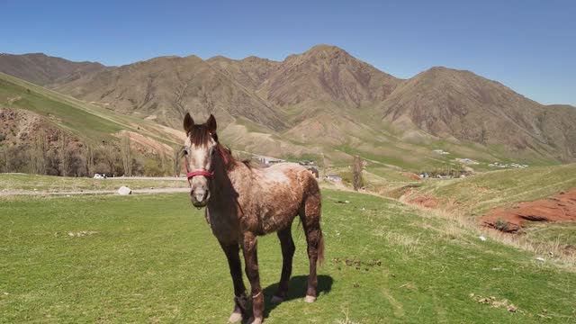 Ущелье Чункурчак. Подвесной мост. Этно-Комплекс Супара. Кыргызстан 🇰🇬 Гид Юрий Антропкин