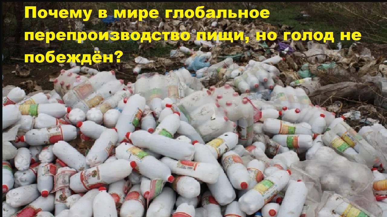Почему в мире глобальное перепроизводство пищи, но голод не побеждён?