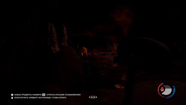 #49 PyPy4 - Выживание в The Forest