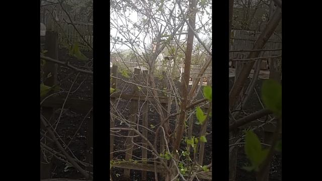 29 апреля 2025