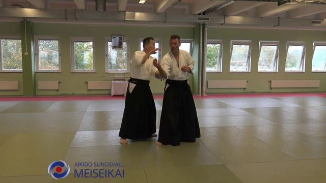 1 Aikido Ai Hanmi Do Barai Ikkyo Omote Shishiya Sensei Malmö, 2019