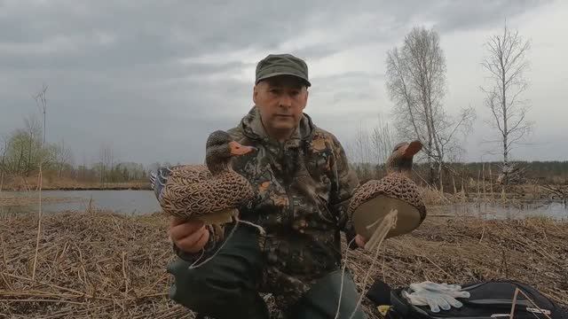 ОХОТА НА УТОК С ПРОФИЛЯМИ. БОБР ЗАЛЕЗ В СКРАДОК.