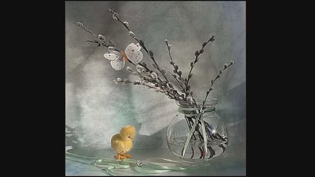 Хирургия. Антон Чехов.