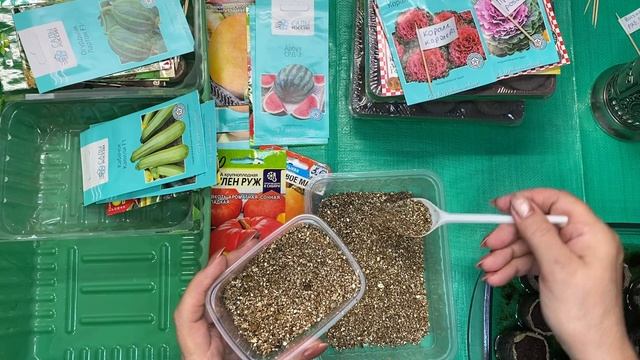 Посев бахчевых культур в торфяные таблетки