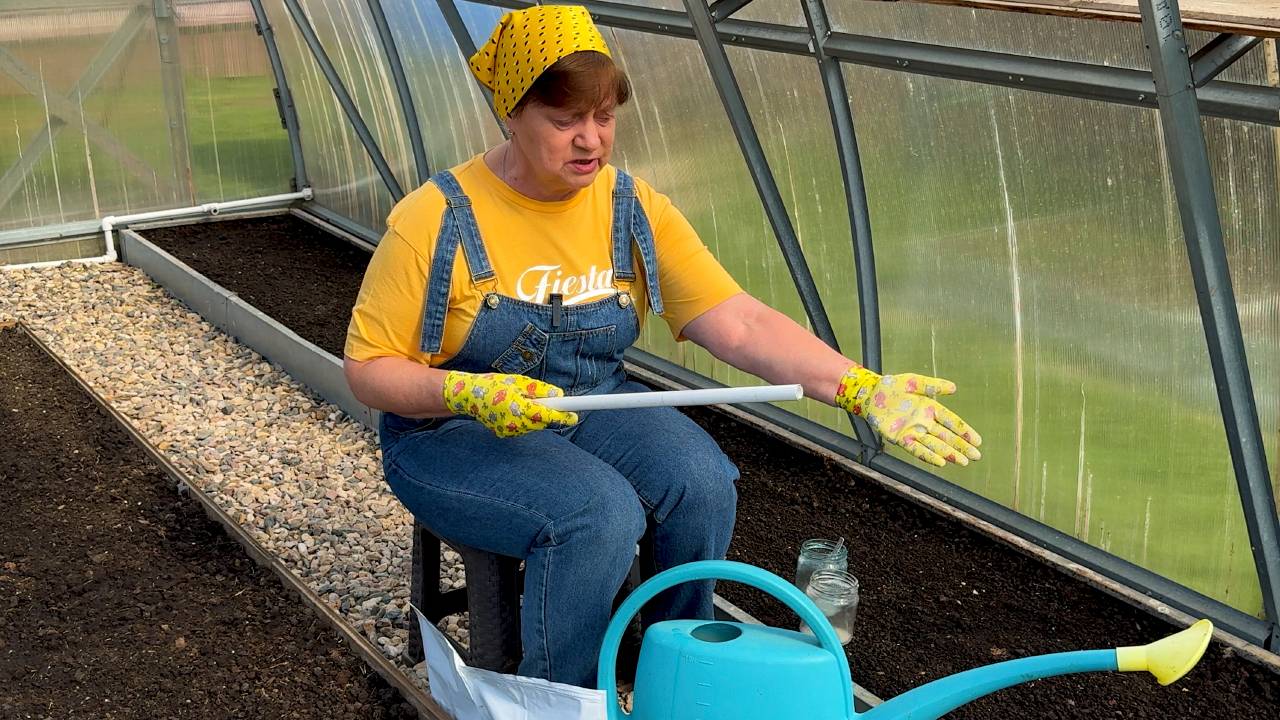 Улучшаем почву перед посадками.