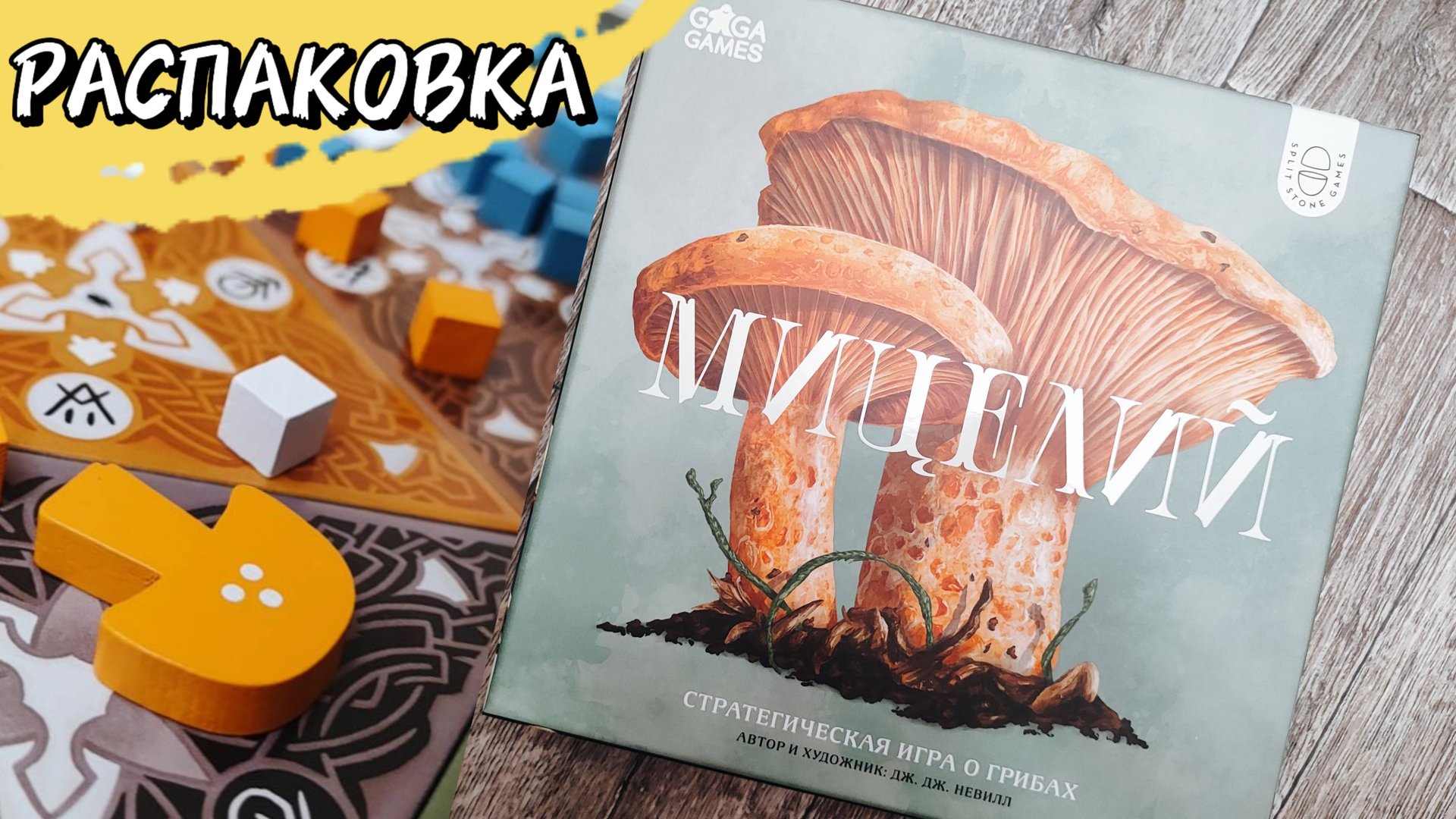 Мицелий 🦊 настольная игра: распаковка, компоненты