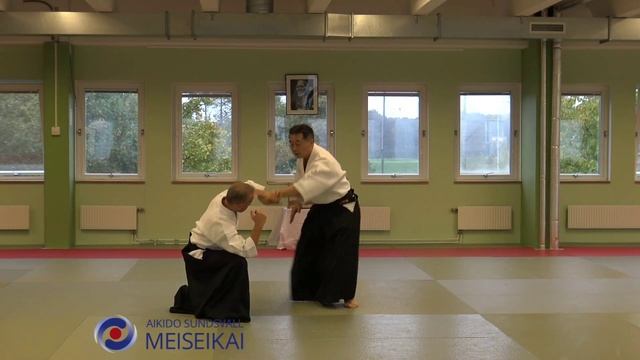 20 Aikido Aikido Ai Hanmi Nikyo Shishiya Sensei Malmö 2017