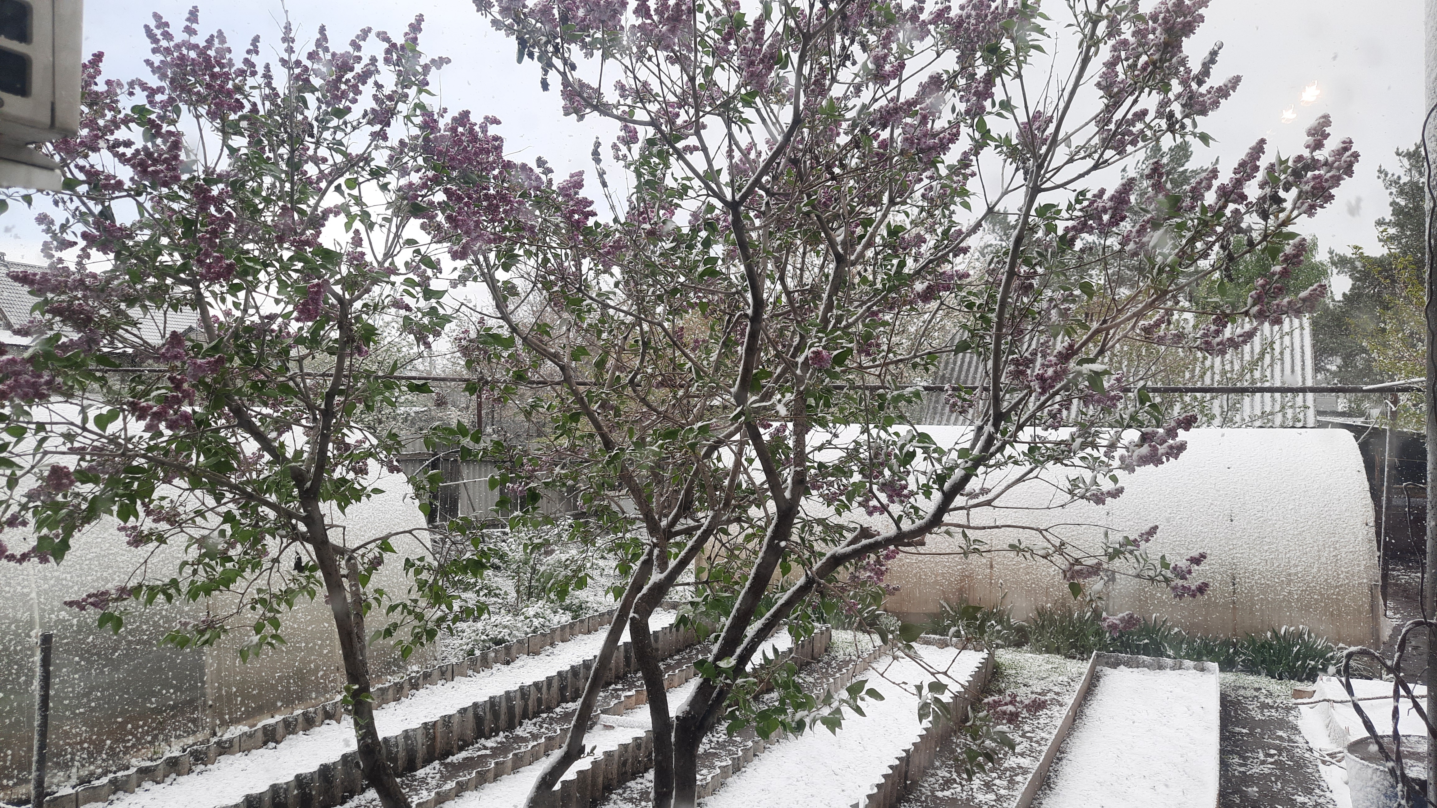 В Кинеле апрельская метель🏡Веду уроки✍️О жизни в ПВР!