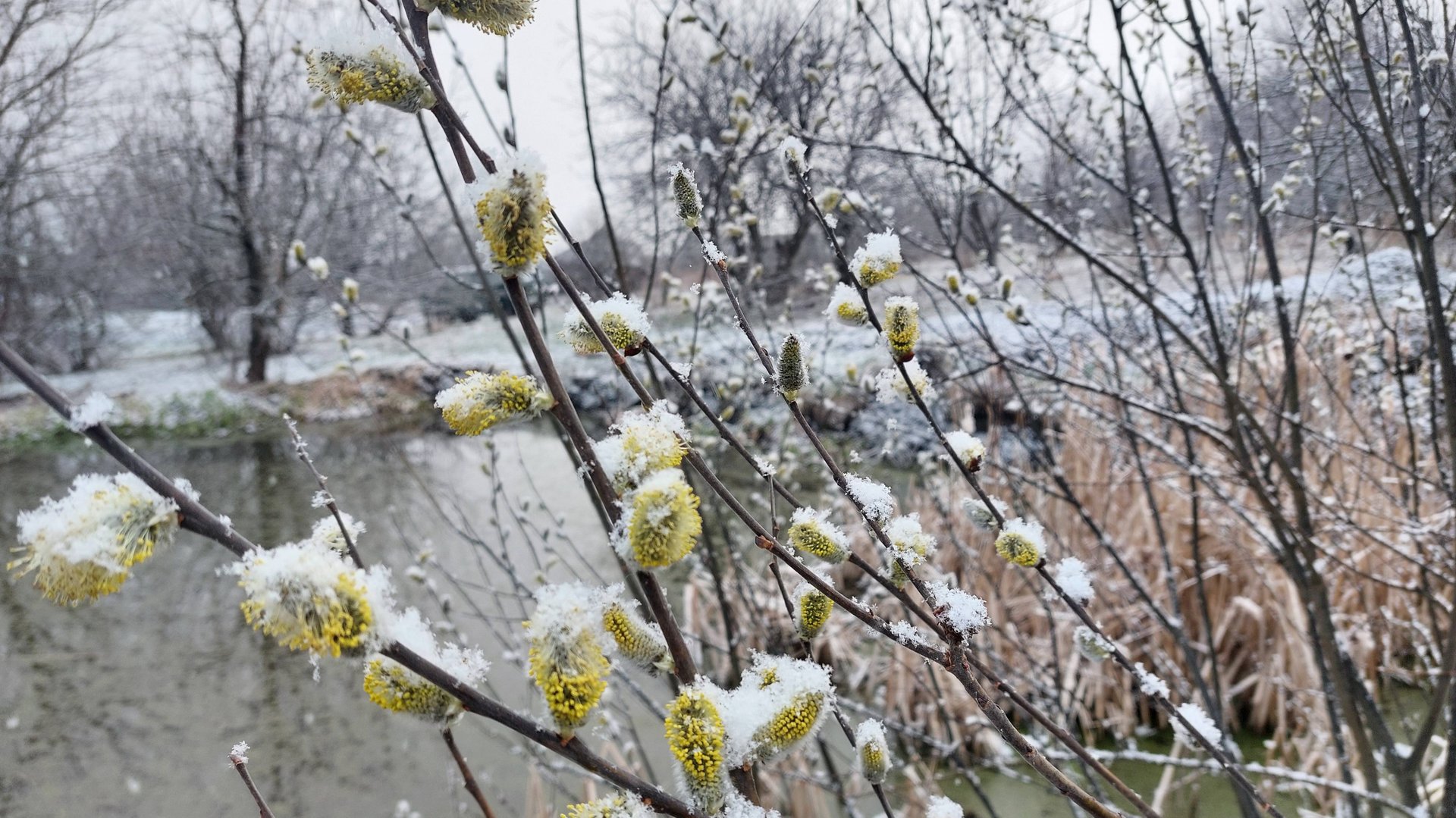 Зима в апреле! 2025 год!