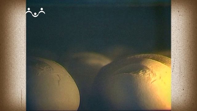 Портрет. Святая праведная Иулиания Лазаревская