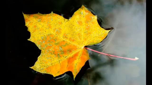 ИлГэрэй - "Оем алды каеннарым".wmv