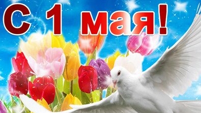 Первомай! Праздник весны и труда. Музыкальная открытка поздравление.