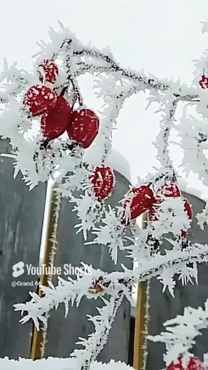 Любите стихи! Вот для Вас, кусочек души! Классные!!! ♥️❄️ Архивное видео.