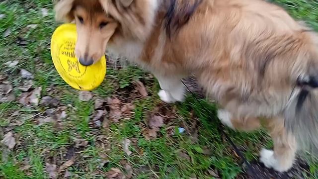 Вик, первое знакомство с диском -1, 30.04.25