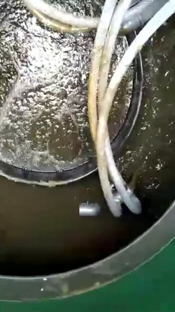 Как выглядит современный био септик через год?