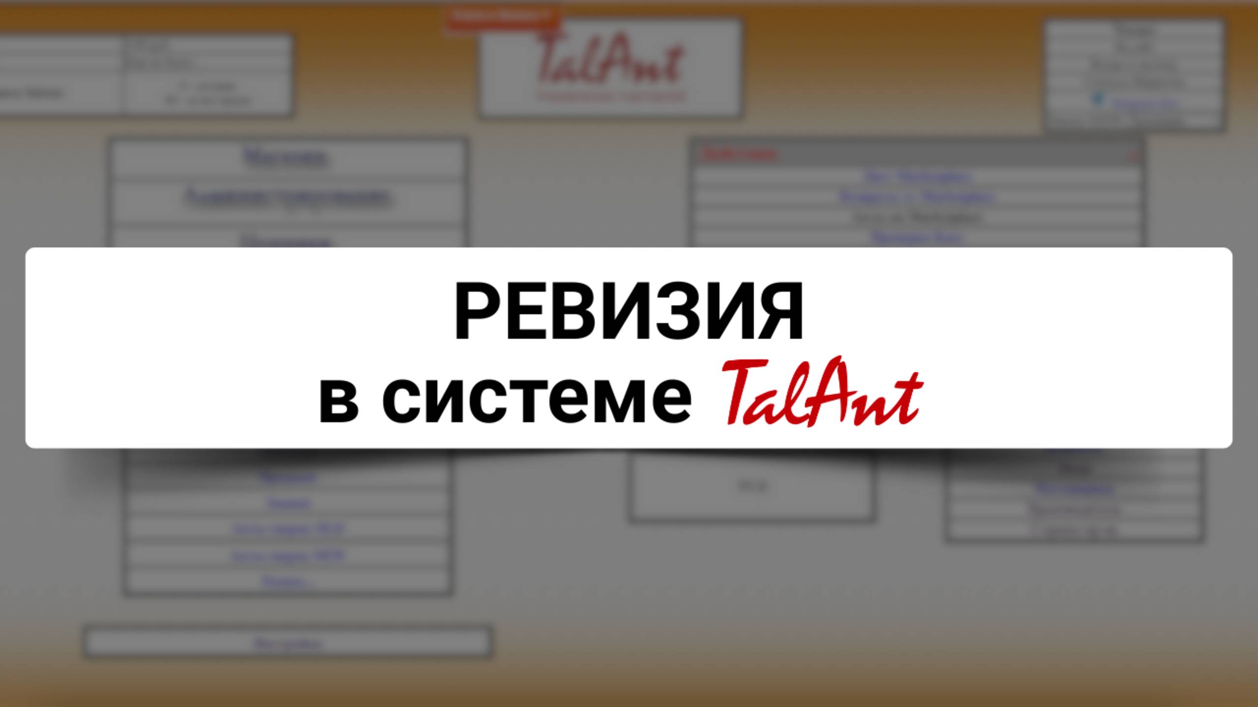 Как сделать ревизию на складе в системе TalAnt