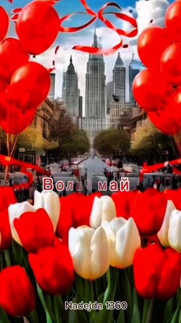 Здравствуй Май!