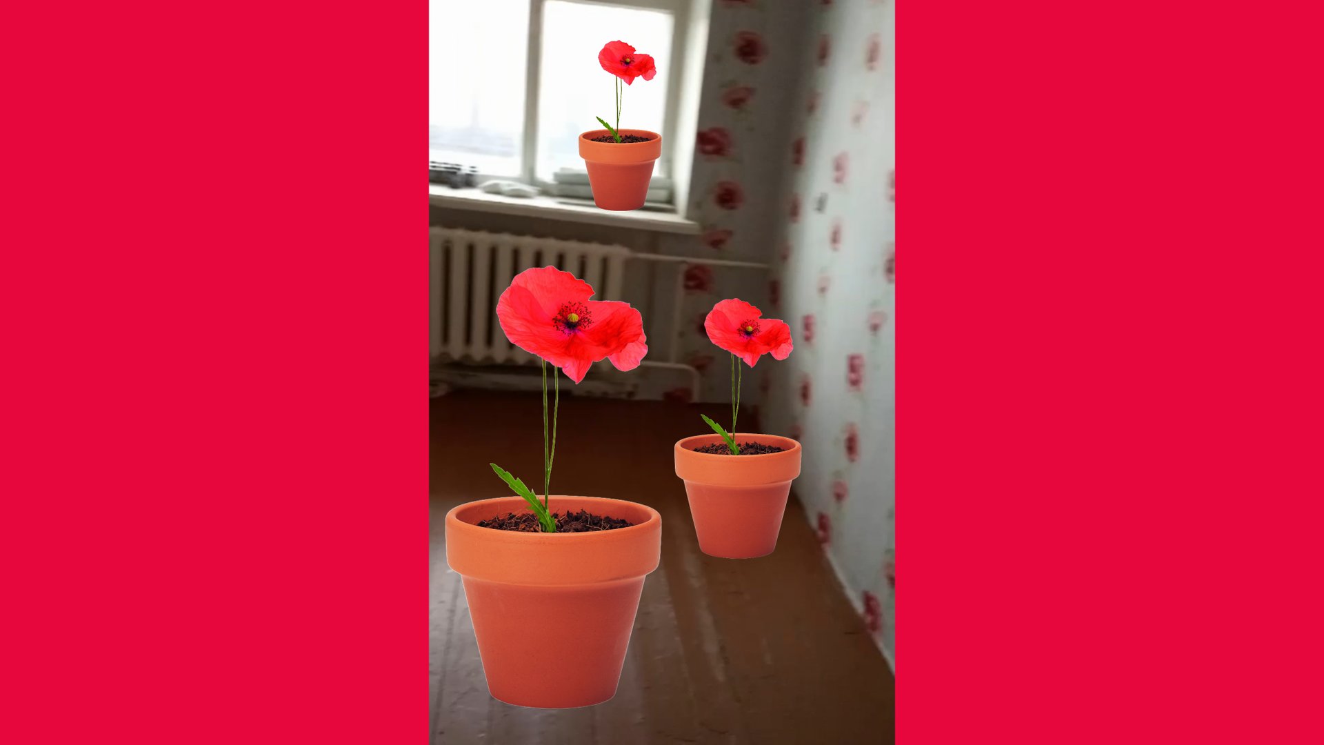 Заброшка с Маками