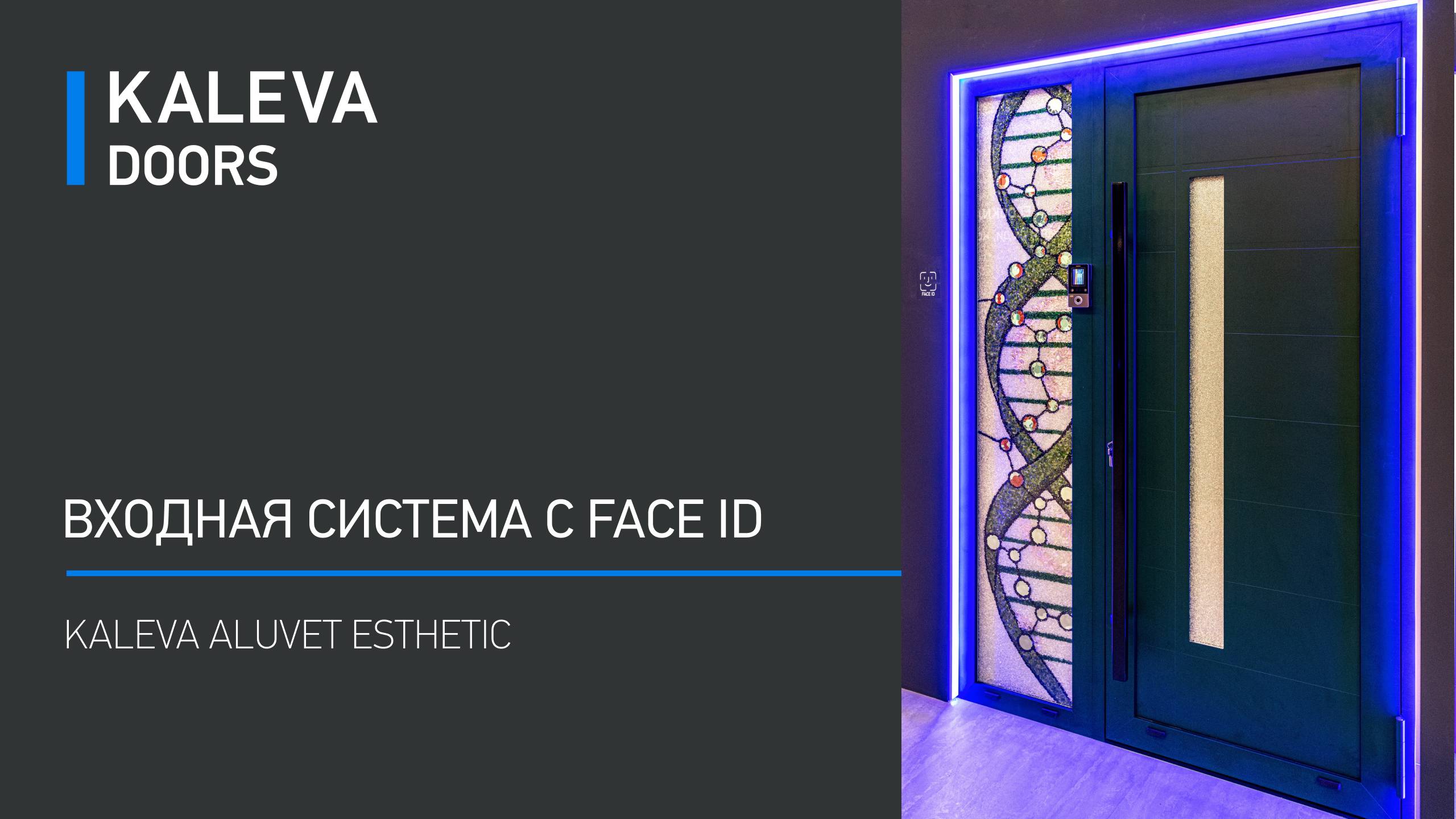Входная система с FaceID Kaleva Aluvet Esthetic
