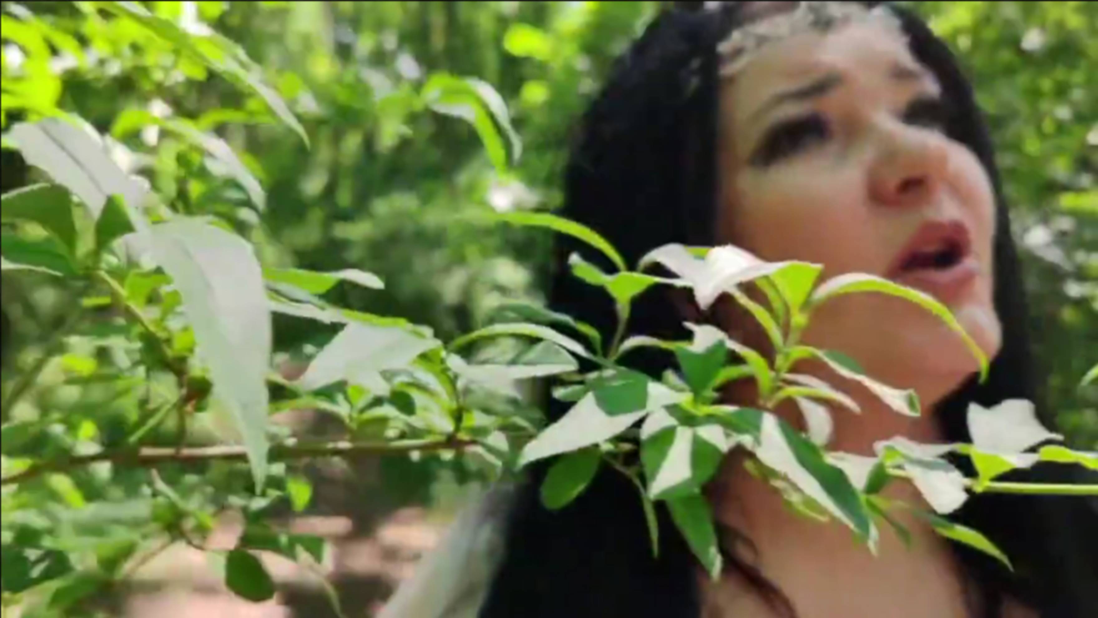 Ланселот-I (стихи, музыка, аранжиров.: А. Орлов-Сомнамбулов, клипмейкер, пение: Юлия Лапаксина