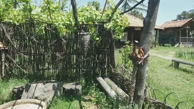 Этнографический музей в Тбилиси.mp4