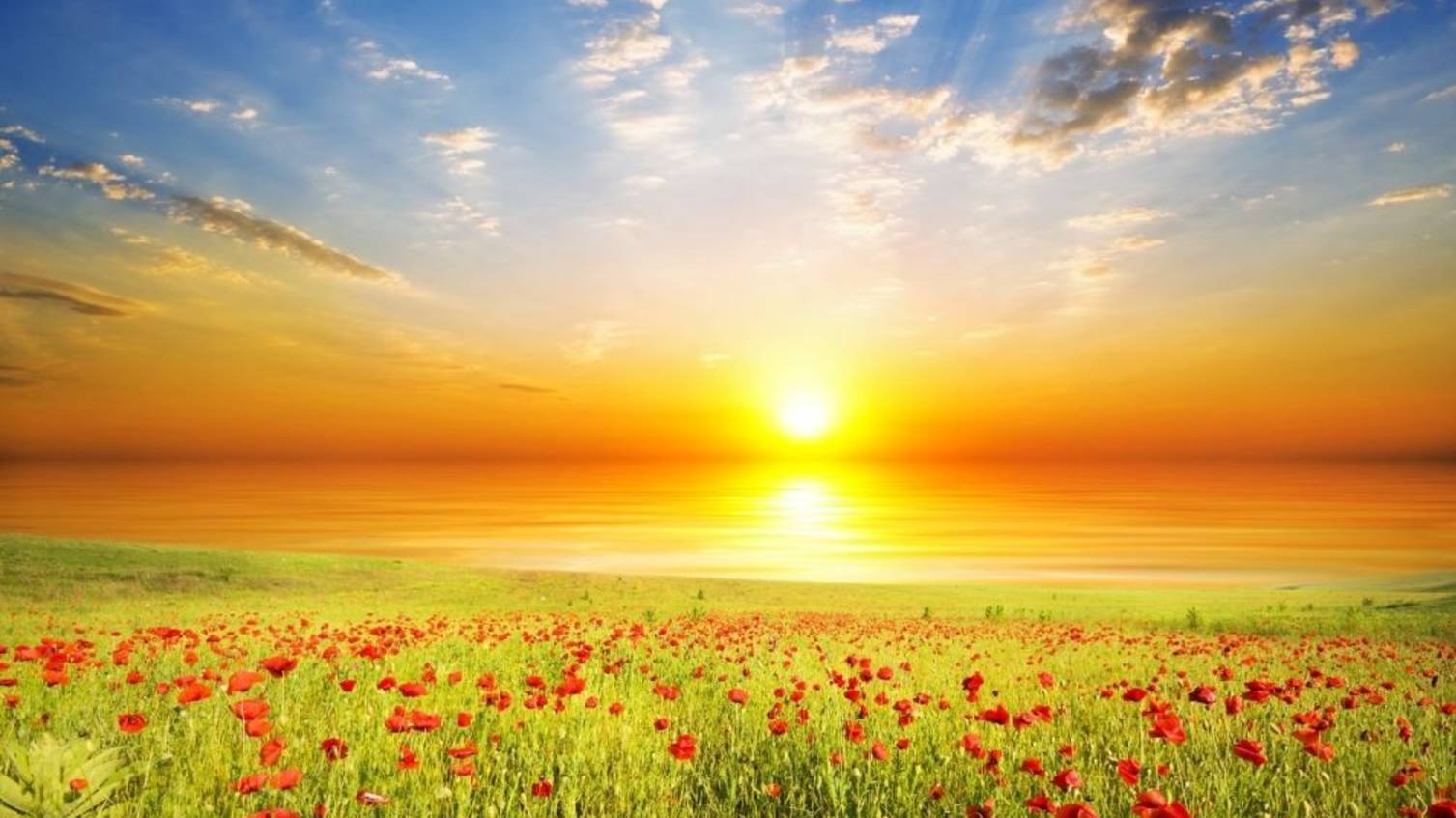 Спит кукушечка в часах