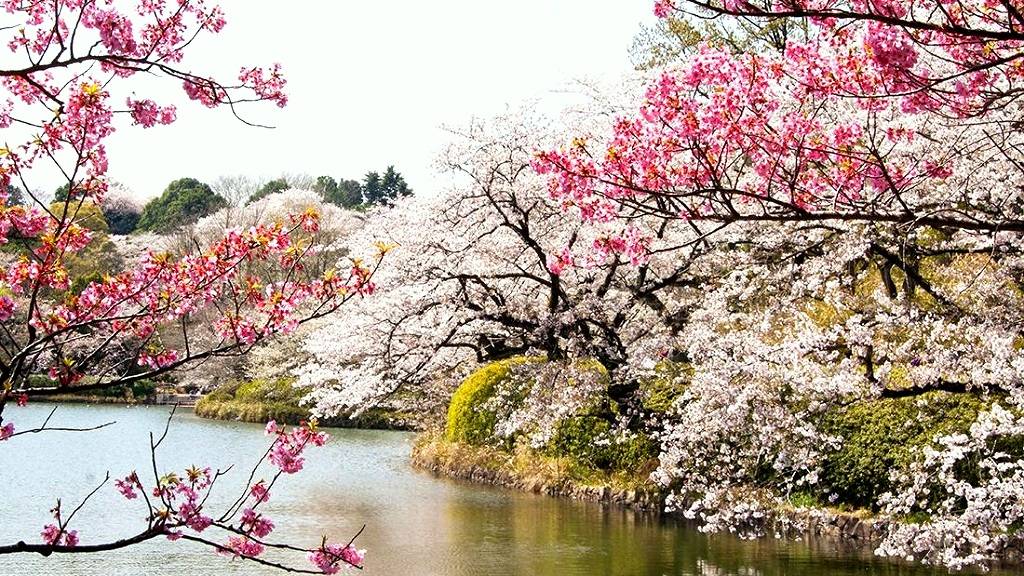 Из дуальной религии в дуальную эзотерику