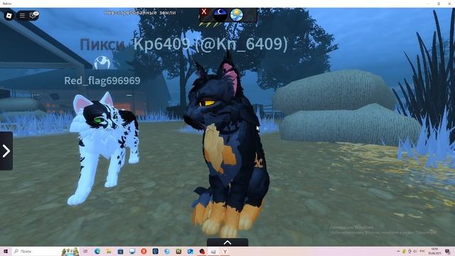клип-ФЕЛИЧИТА-коты воители роблокс