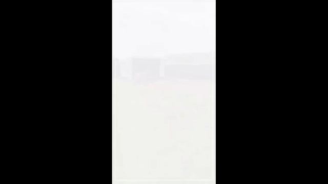 Готовим участок к благоустройству. Вызвали минитрактор