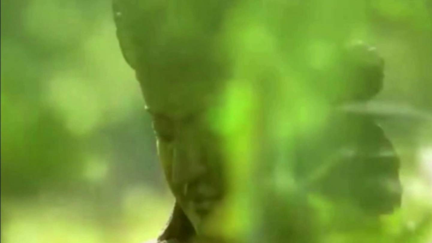 30.04.2025 Построение Метафизики начинается с понимания поля Абсолюта.