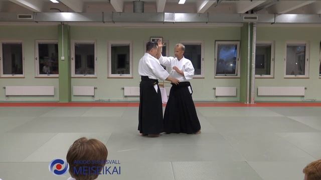 17 Aikido Shomen Uchi Ikkyo Omote Shishiya Sensei Malmö 2019