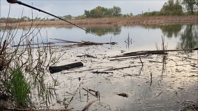 рыбалка в начале мая! клёв стал лучше!