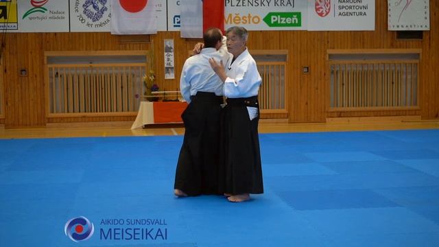 7 Aikido Ai Hanmi Iriminage Shishiya Sensei Pilsen 2023