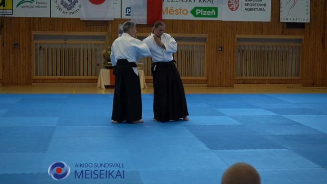 11 Aikido Gyaku Hanmi Uchikaitennage Shishiya Sensei Pilsen 2023