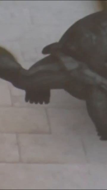 ночь в музее Дарвина