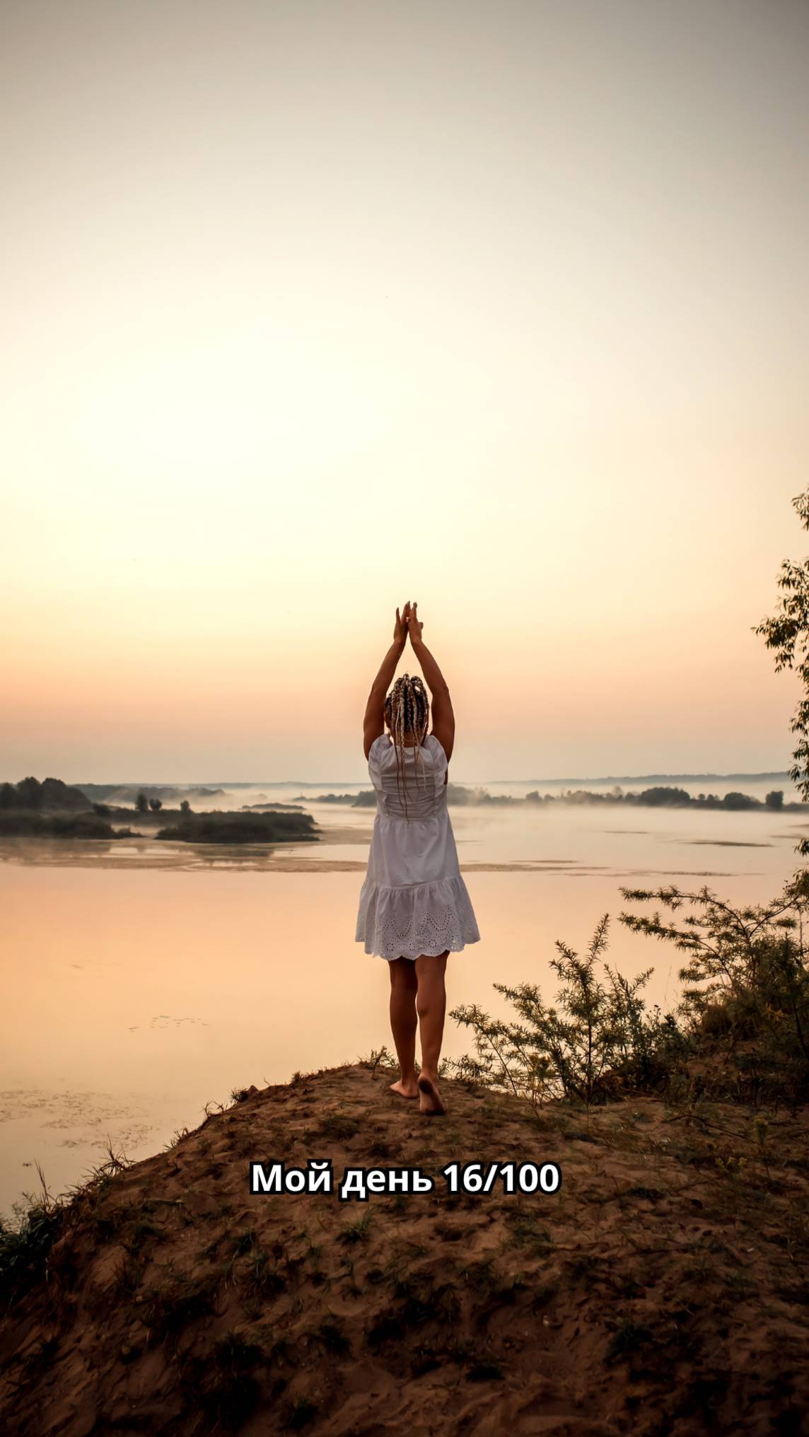 #мойДеньРоговцова 16 из 100