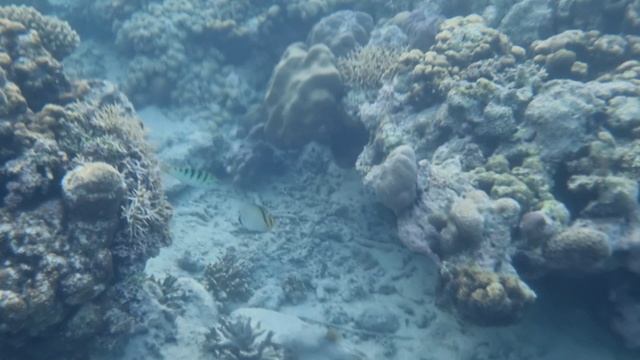 Снорклинг на Бали