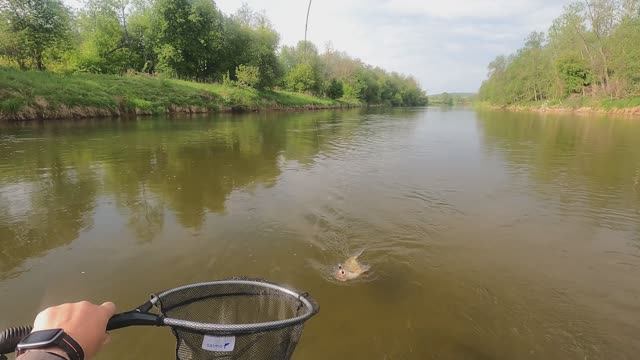 Вниз по Сиве ч.1