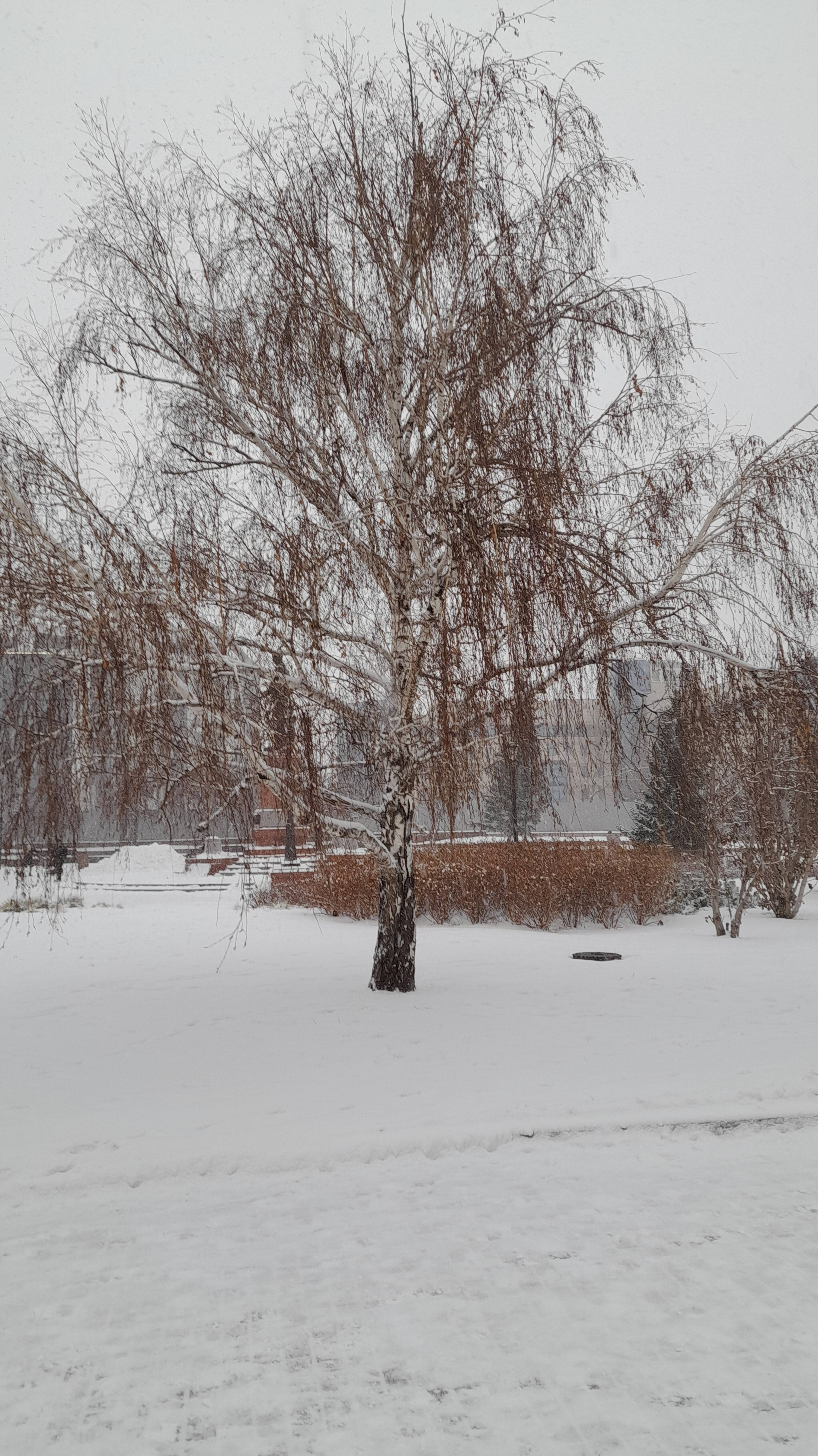 Пою "Землянку"