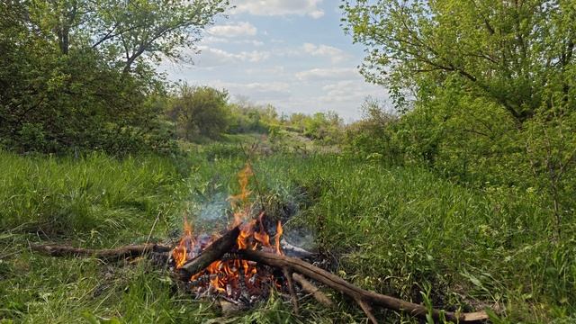 ПРИРОДА, ВЕСНА И КОСТЁР!