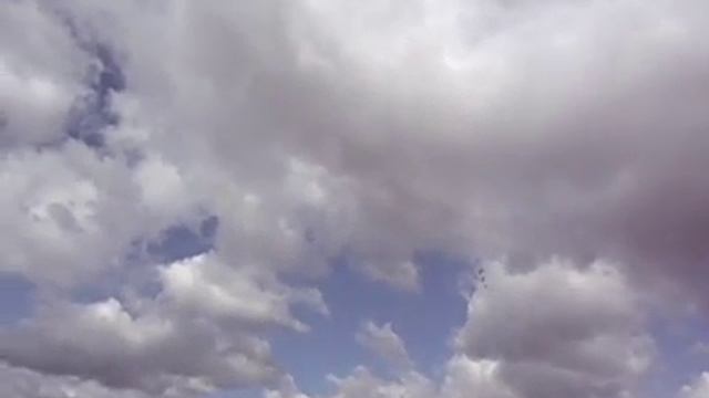 НА МАКС 2015 ТЕПЛОХОДОМ