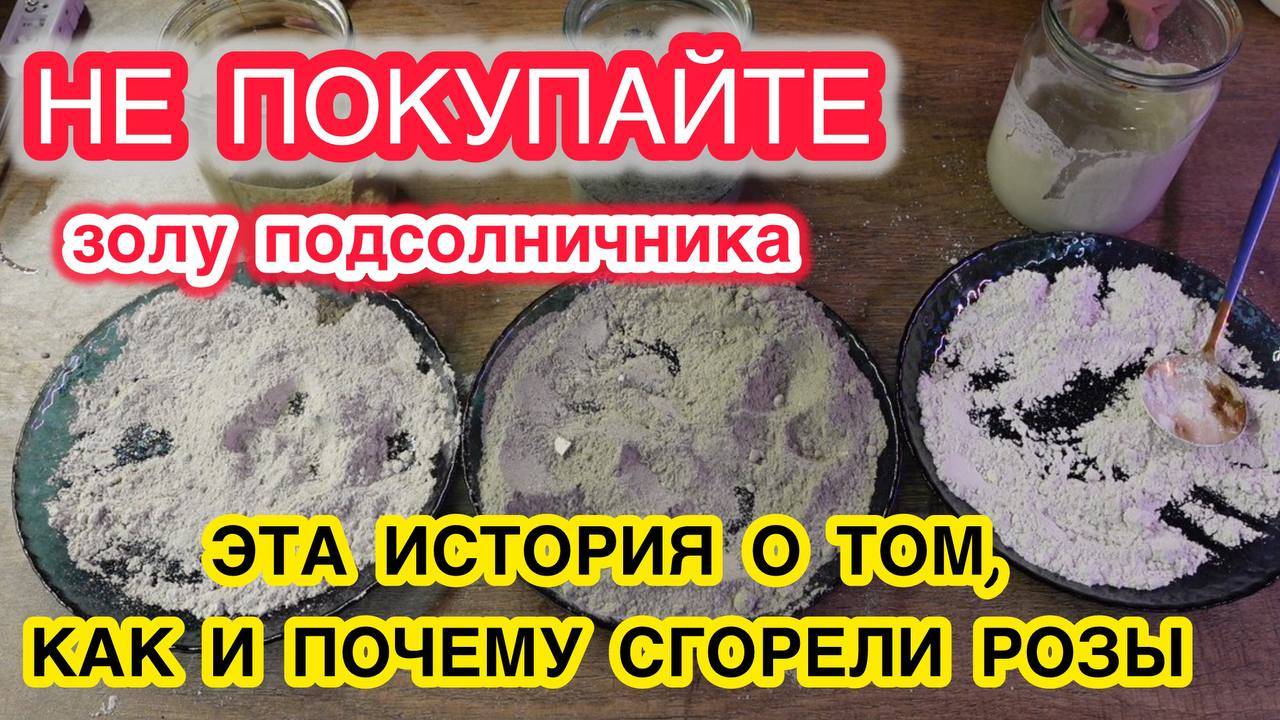 Это ШИЛО только НАВРЕДИЛО! Купили золу-проверьте водой перед использованием, иначе можно всё сжечь!