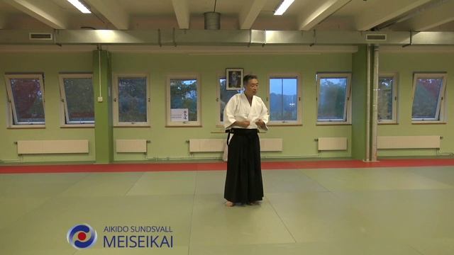 13 Aikido Gyaku Hanmi Iriminage Omote Shishiya Sensei Malmö, 2019