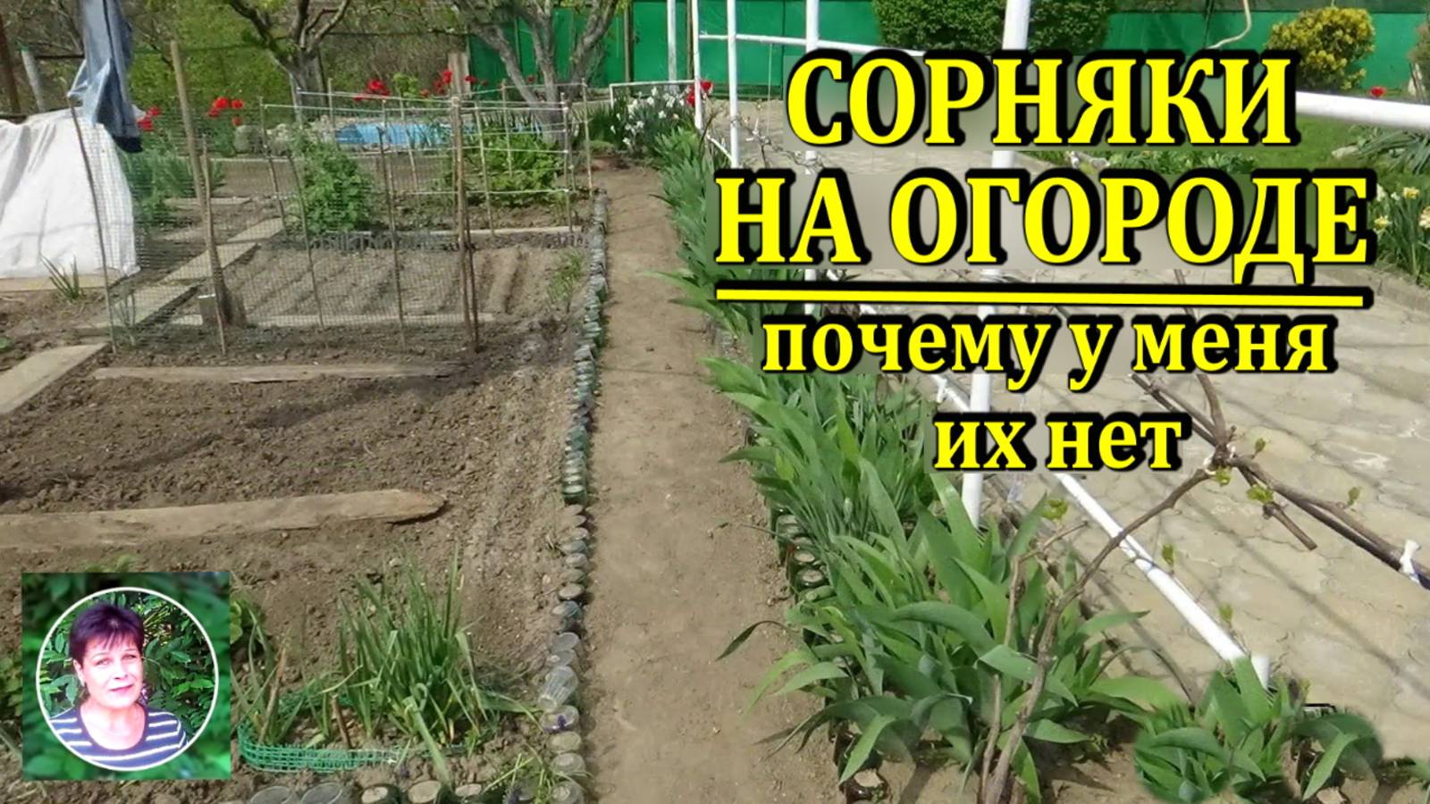 Борьба с сорняками. Почему у меня их нет