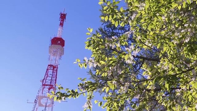 HBD_Гора ©2025April