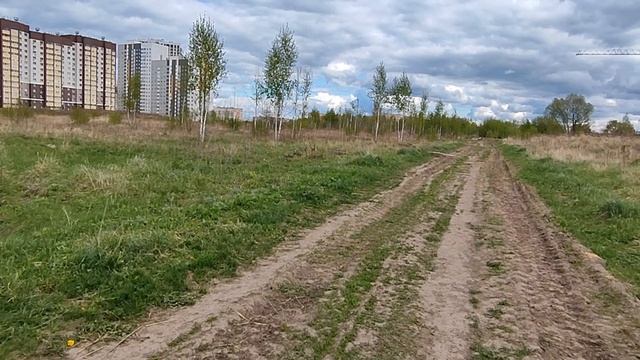 С чего начинается ... Что у нас на обед. Тропинка и Аллеи нашего района. А дома можно покривляться.