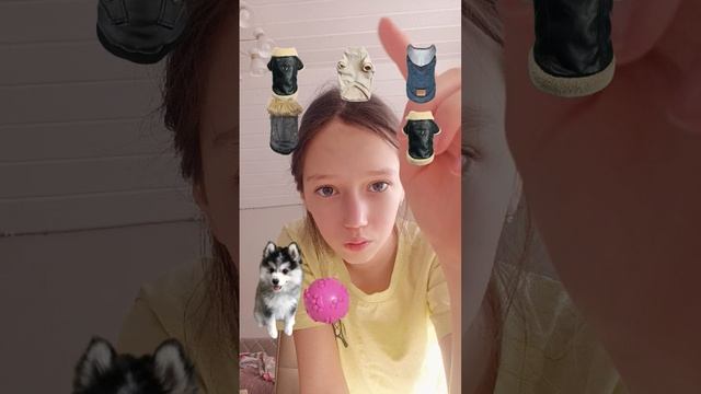 Маска выбераем питомца