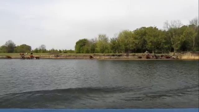 Т.Х. ГЕНЕРАЛ ЛАВРИНЕНКОВ ВОЛГО - ДОН  ч.2