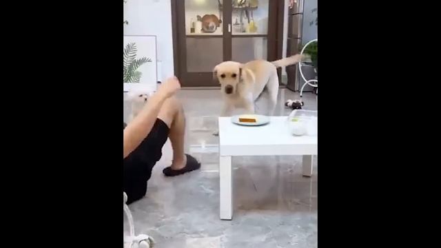 ПОДБОРКА МЕМОВ / №23