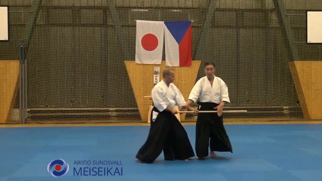 7 Aikido Jodori Ikkyo Omote, Shishiya Sensei Pilsen Oktober 2018